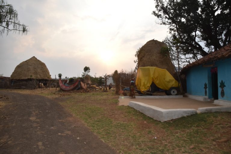Baiga Adivasi Fabric - Craft Documentation | Research Archive Indian ...