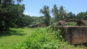 Kunbi Saree Goa - Craft Documentation | Research Indian Handloom