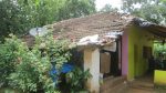 Kunbi Saree Goa - Craft Documentation | Research Indian Handloom