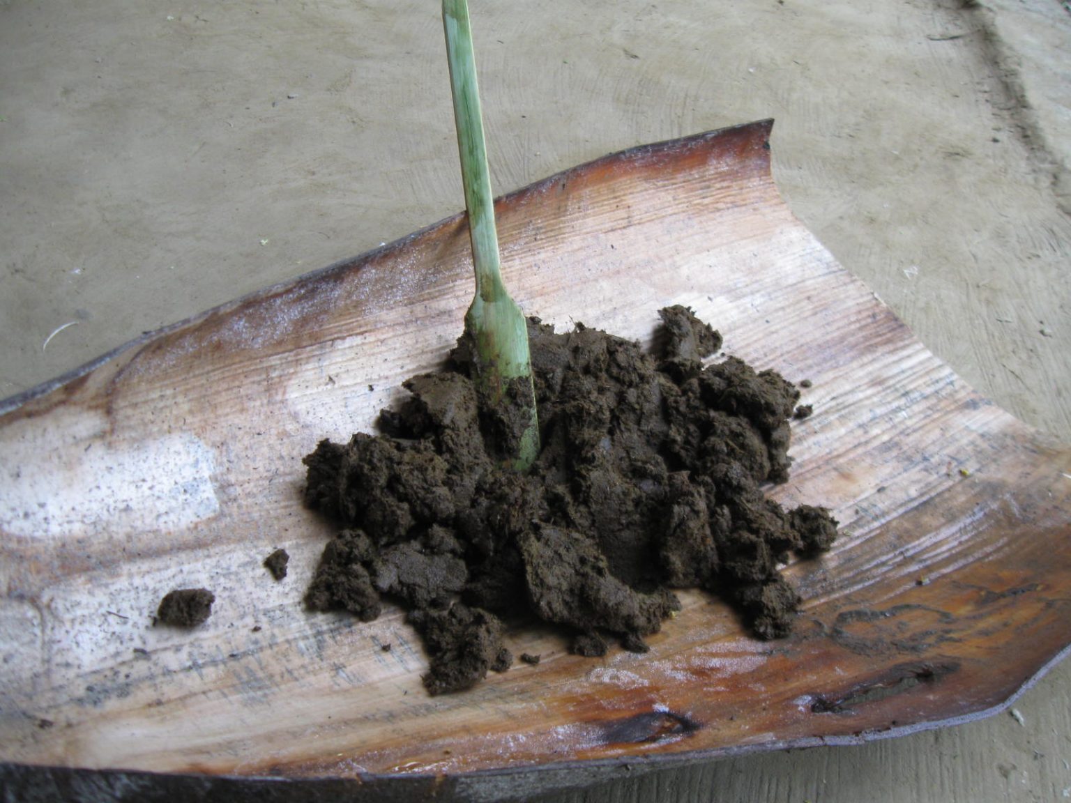 Mukha Mask Making, Majuli, Assam - Craft Documentation | Research ...