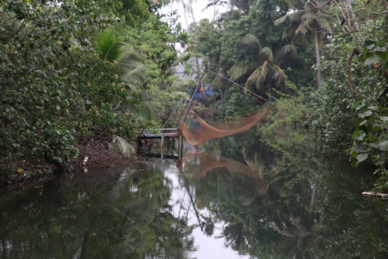 Weaving Chendamangalam | Craft Documentation & Research Kerala Handloom