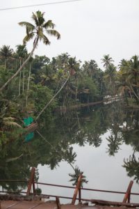 Weaving Chendamangalam | Craft Documentation & Research Kerala Handloom
