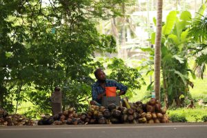 Weaving Chendamangalam | Craft Documentation & Research Kerala Handloom