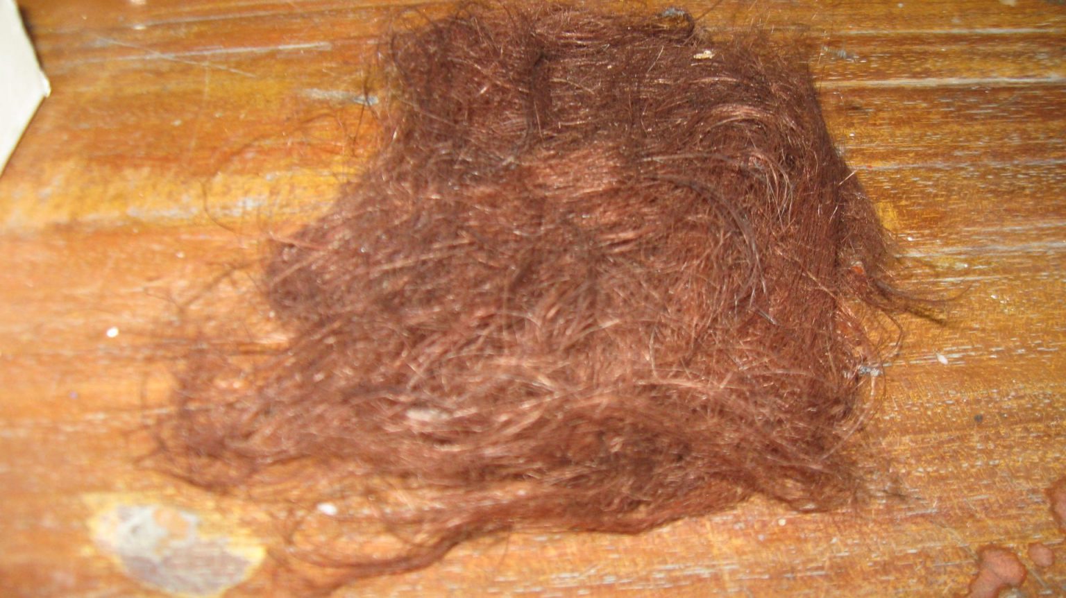 Mukha Mask Making, Majuli, Assam - Craft Documentation | Research ...