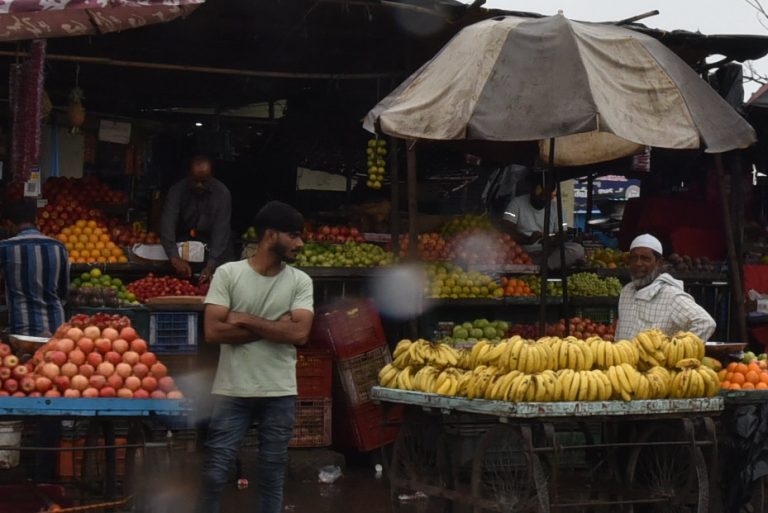 Wooden Nirmal Toys - Research & Documentation Indian Handicrafts