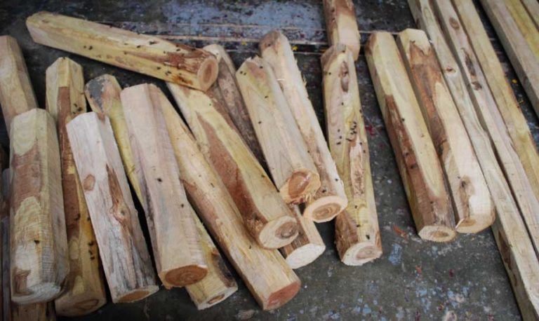 Sankheda Craft Documentation | Research Indian Handicrafts