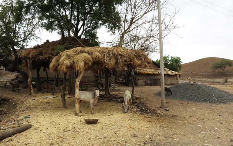 Teer Kamaan | Tribal Bow & Arrow | Craft Archive | Research on Indian ...