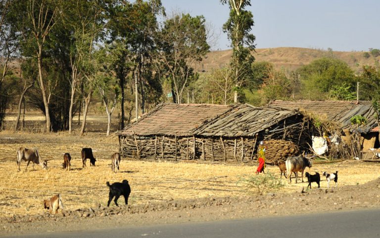 Teer Kamaan | Tribal Bow & Arrow | Craft Archive | Research on Indian ...