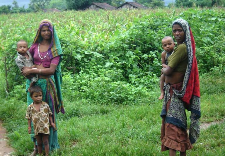 Sankheda Craft Documentation | Research Indian Handicrafts