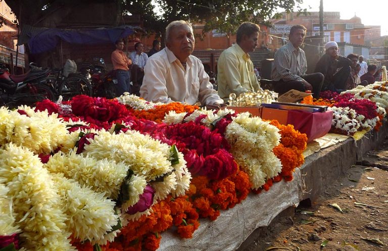 Blue Pottery - Craft Archive | Research on Indian Handicrafts & Handloom