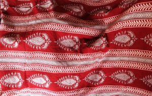 Bagh Print~Bagh - Craft Archive | Research on Indian Handicrafts & Handloom