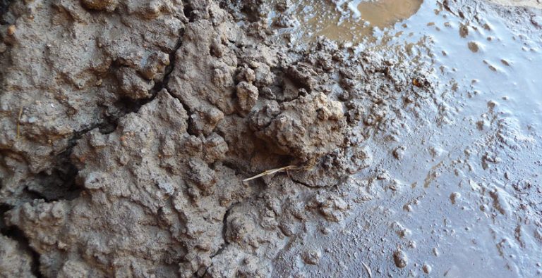 Molela terracota~Molela - Craft Archive | Research on Indian ...