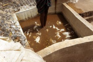 Bagh Print~Bagh - Craft Archive | Research on Indian Handicrafts & Handloom