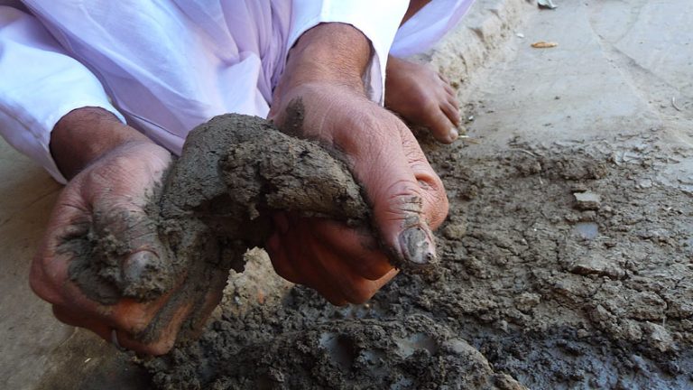 Molela terracota~Molela - Craft Archive | Research on Indian ...