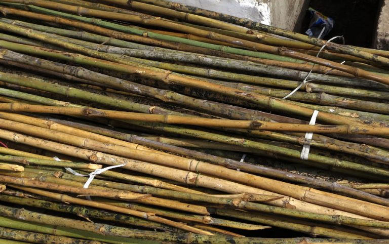 Teer Kamaan | Tribal Bow & Arrow | Craft Archive | Research on Indian ...