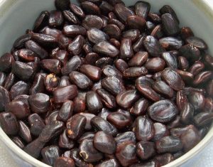 Bagh Print~Bagh - Craft Archive | Research on Indian Handicrafts & Handloom