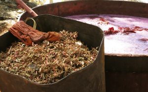 Bagh Print~Bagh - Craft Archive | Research on Indian Handicrafts & Handloom