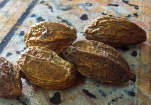 Bagh Print~Bagh - Craft Archive | Research on Indian Handicrafts & Handloom