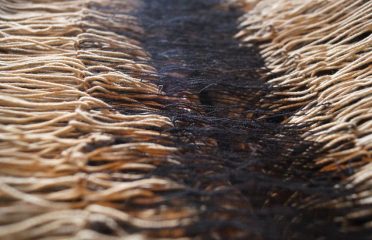 Kinnari Shawls~Kinnaur - Craft Archive | Research on Indian Handicrafts ...