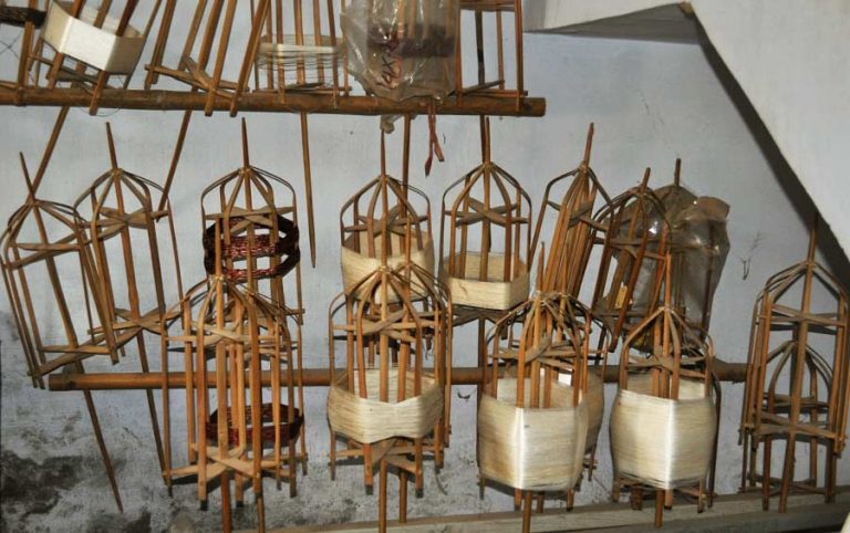 Patan Patola - Craft Documentation | Research on Gujarat Handloom