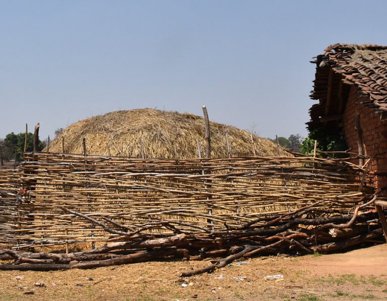 Bamboo Craft Balaghat - Documentation | Archive Indian Handicrafts